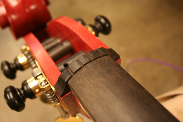 Double Bass Project | Steve Erling