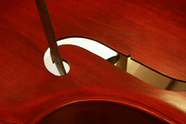 Double Bass Project | Steve Erling
