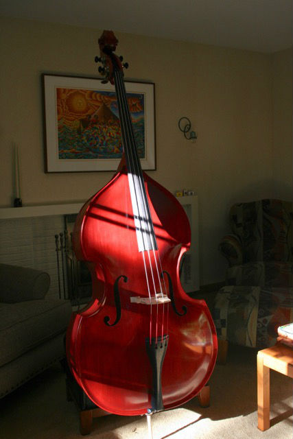 Double Bass Project | Steve Erling