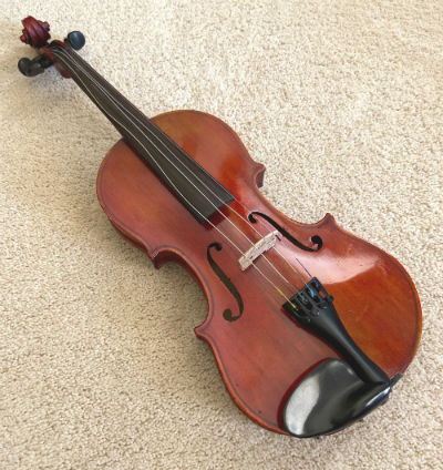 Save the Rainforest | Bob Rummer