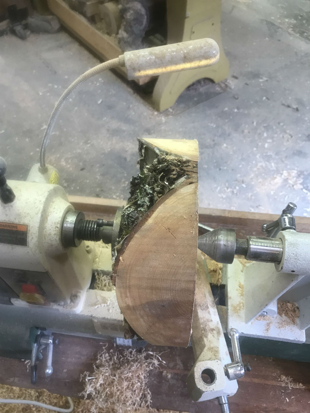 Woodturning Art from Wood | Turning the Corner