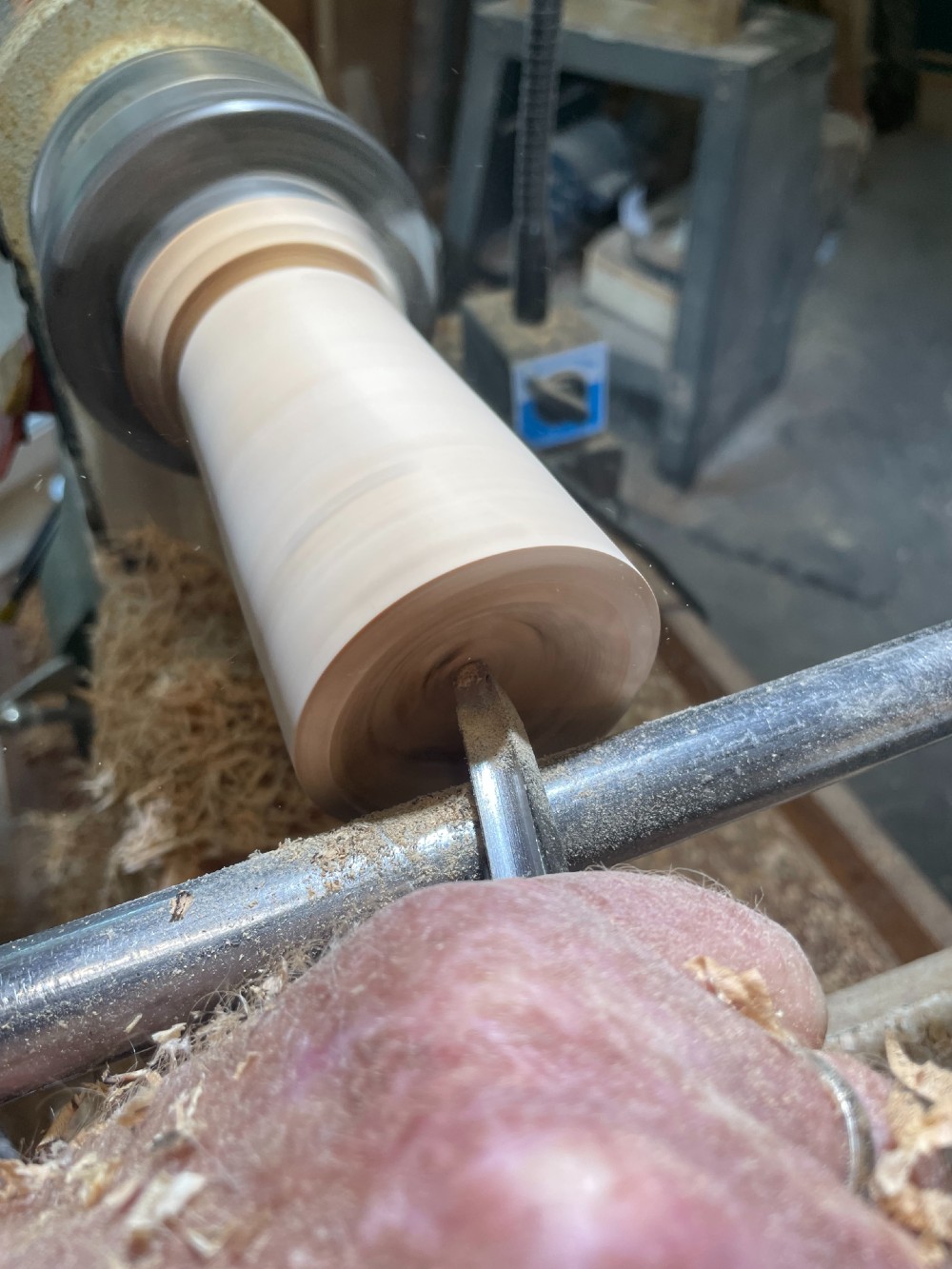 Design Inspiration | Temple Blackwood